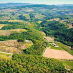 Wine Tasting by CarusVini in San Casciano in val di Pesa - The Sum Up