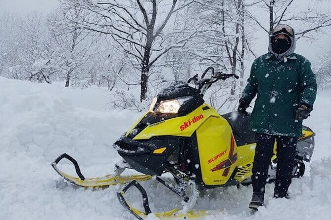 Winter Holiday Snowmobiling in Nozawa Onsen Area - Who Will Love This Tour?