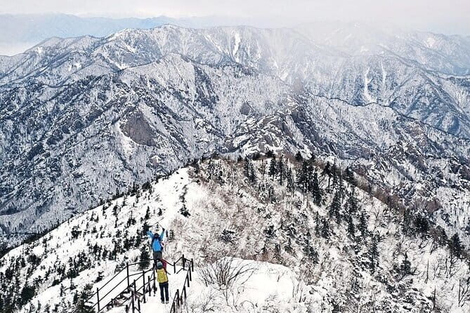 Winter One Day Tour to Snowy Mt. Seorak and Maebawi Ice Wall - What You’ll Love About This Tour
