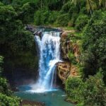 Wonderful of Ubud Tour - (Private & All-Inclusive) - Whats the Value?