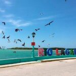 Wonderful Tour Las Coloradas & Buffete only from Cancun - Transport & Logistics: What You Need to Know