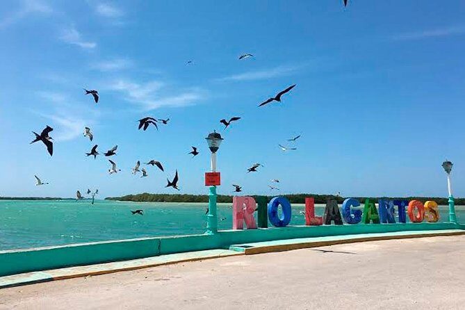 Wonderful Tour Las Coloradas & Buffete only from Cancun - Transport & Logistics: What You Need to Know