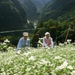 World Agricultural Heritage BROMPTON Slow Cycling Tour - The Sum Up