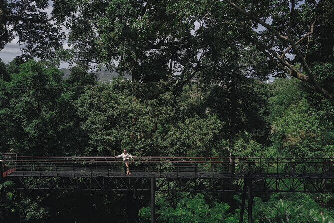 World C+ (Ziplines 10 Platforms + Roller + Sky Walk and World Set Menu ) - The Itinerary Breakdown