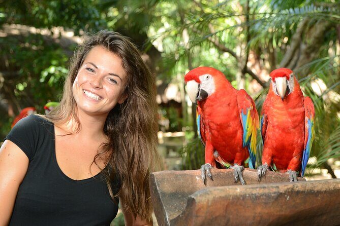 Xcaret Park Plus Access with Transportation and Night Show - Who Is This Tour Best For?