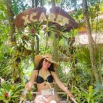 Xcaret Plus Discover History, Culture With Buffet from Cancun - Practical Insights and Considerations