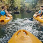 Xenotes Xcaret 4 Cenotes Adventure - Luum | Earth Xenote: A Subterranean Wonder