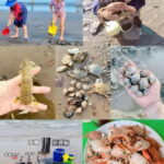 Xiamen: Sailing & Sea Experience. - Practical Tips for Participants