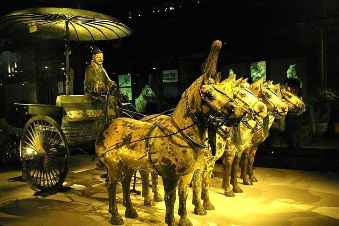 Xian One Day Terracotta Warriors and Horses, Banpo Site and Wild Goose Pagoda - Who Will Love This Tour