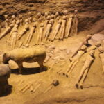 Xi'an Private Day Tour: Discover the Heritages of Qin and Han Dynasties - What Makes This Tour Stand Out?