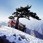 Xian Private Day Trip to Mount Huashan with Round Trip Cable Car to North Peak - What to Expect from the Tour