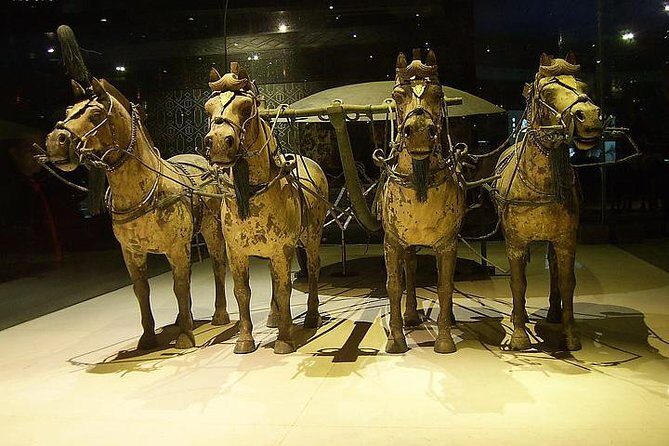 Xi'an Private Tour: Terracotta Warriors and Banpo Museum - Transportation and Logistics: Why They Matter