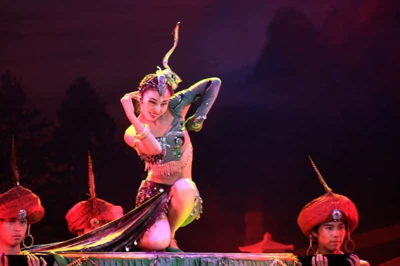 Xi'an Terra Cotta Warriors Tour with Tang Dynasty Show - The Culinary Experience and Dumpling Banquet