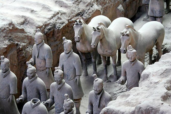 Xian Terracotta Warriors Private Day Tour, No Shopping - Who Should Take This Tour?