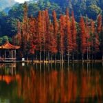 Xiqiao Mountain and Martial Arts Culture Privat Day Tour from Guangzhou - An In-Depth Look at the Tour Experience