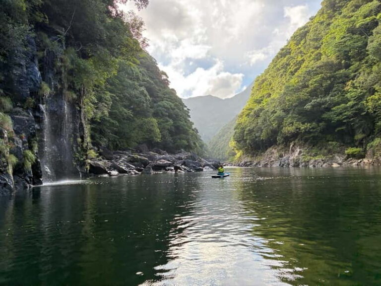 Yakushima: Private Guided Tour - Who Should Consider This Tour?