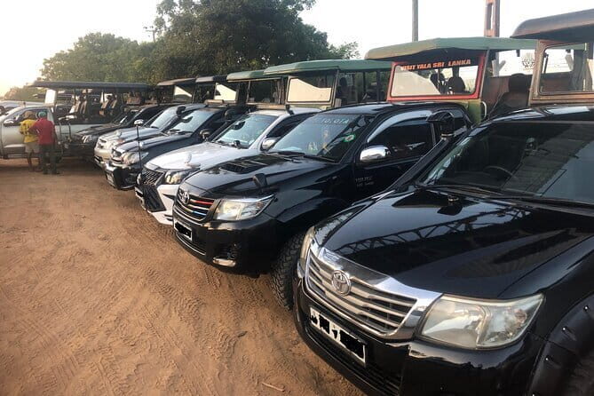 Yala and Udawalawa National Park Safari Tour From Hambantota port - Detailed Exploration of the Itinerary