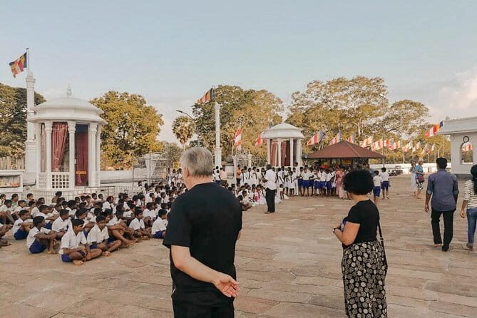 Yala City to Nuwara Eliya City Private Transfer - Why This Transfer Is a Great Choice