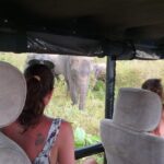 Yala half day safari - Who Will Love This Safari?