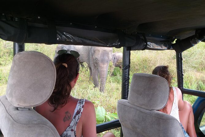 Yala half day safari - Who Will Love This Safari?