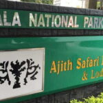 YALA National Park (7 - hours) Wildlife Safari Tour - Why This Tour is a Great Value