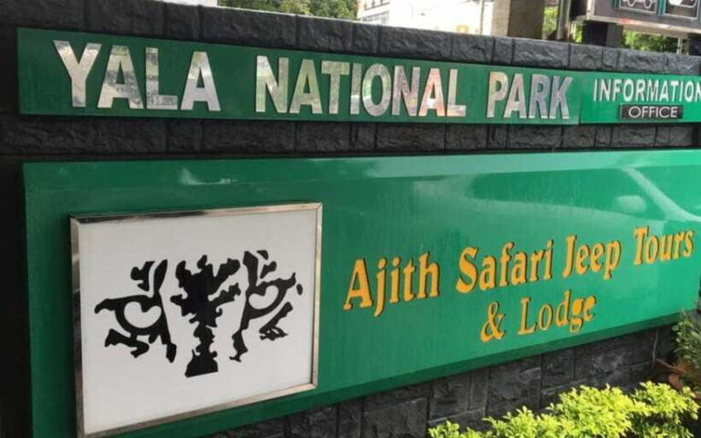 YALA National Park (7 - hours) Wildlife Safari Tour - Why This Tour is a Great Value