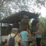 Yala National Park Budget Safari - Real Traveler Perspectives