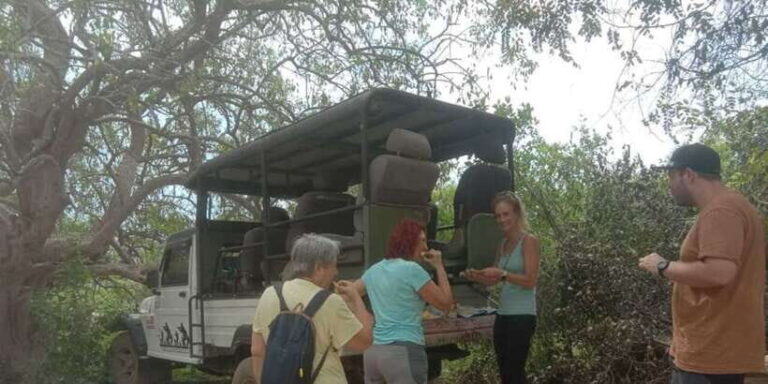 Yala National Park Budget Safari - Real Traveler Perspectives