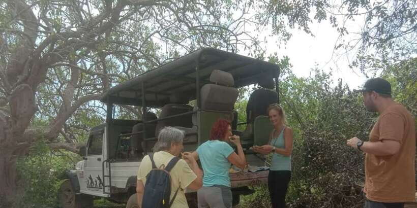 Yala National Park Budget Safari - Real Traveler Perspectives