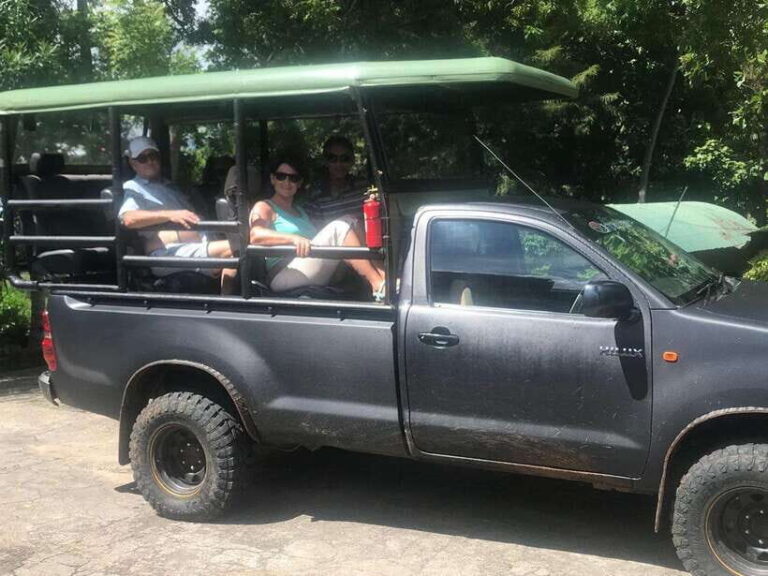 Yala National Park: Day Tour with Jeep Safari - What to Expect on the Tour