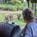 Yala National Park: Half Day or Full Day Leopard Safari Tour - Who Will Appreciate This Safari?