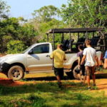 Yala National Park: Leopard Safari Full day tour with Lunch - The Cost and What It Means for You