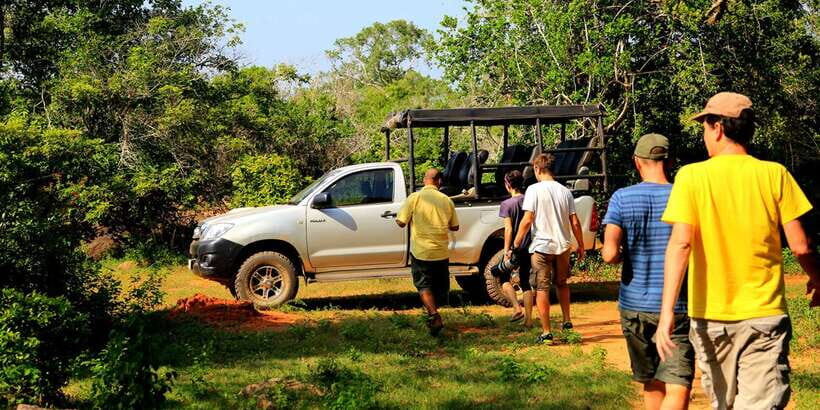 Yala National Park: Leopard Safari Full day tour with Lunch - The Cost and What It Means for You