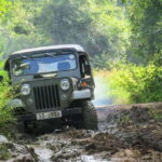 Yala National Park Private Safari from Ella - The Practicalities: What’s Included and What’s Not