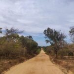 Yala National Park Safari from Talpe - What’s Included and What’s Not