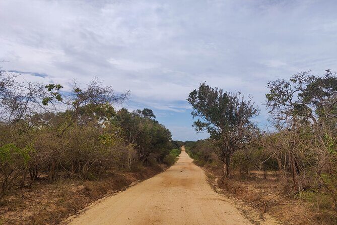 Yala National Park Safari from Talpe - What’s Included and What’s Not