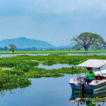 Yala National Park Safari - Half day and Full day - The Experience and the Value