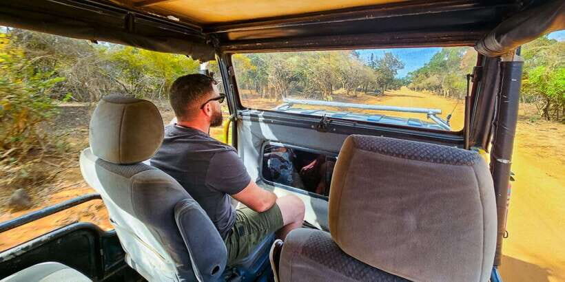 Yala National Park Wildlife safari from Bentota - Practical Details and Value Analysis