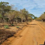 Yala National Park Wildlife safari from Hambantota - The Sum Up: Who Will Love This Tour?