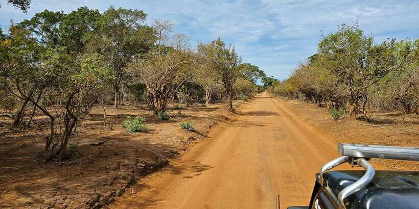 Yala National Park Wildlife safari from Hambantota - The Sum Up: Who Will Love This Tour?