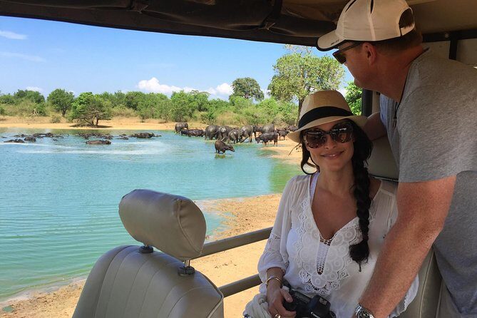 Yala Safari Day Trip from Bentota/ Kalutara/ Ahungalla/ Hikkaduwa - The Experience: What to Expect on the Yala Safari Day Trip