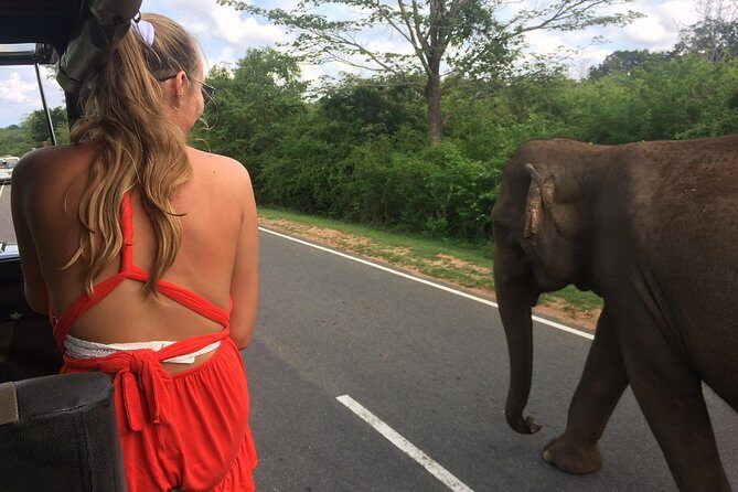 Yala Safari Drive From Galle, Weligama, Mirissa & Dickwella - What Travelers Say