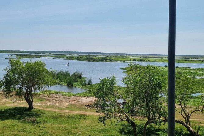 Yala safari from Galle / Unawatuna / Waligama / MIrissa / Matara - What’s Included & What’s Not