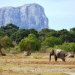 Yala Wild Adventure Safari - Final Thoughts: Is It Worth It?