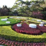 Yangmingshan National Park & Hot Spring Tour (afternoon ) - The Authentic Experience and Real Traveler Insights