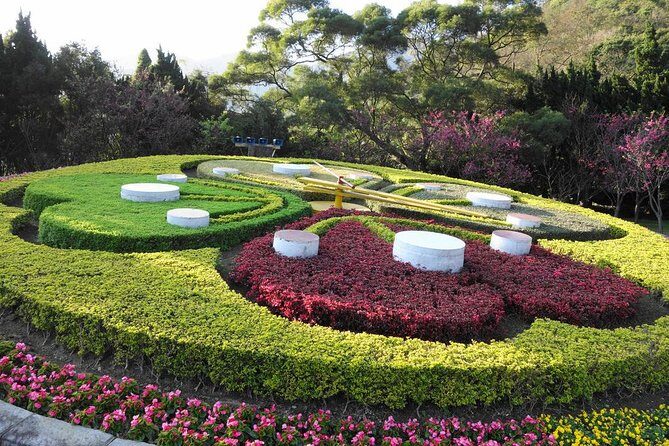 Yangmingshan National Park & Hot Spring Tour (afternoon ) - The Authentic Experience and Real Traveler Insights