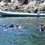 Yelapa Escape & Snorkeling in Puerto Vallarta by Speedboat - Final Thoughts: Is This Tour Right for You?