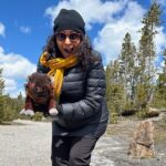 Yellowstone Hidden Gems Hiking Tour West Yellowstone - Concluding Thoughts: Who Will Love This Tour?