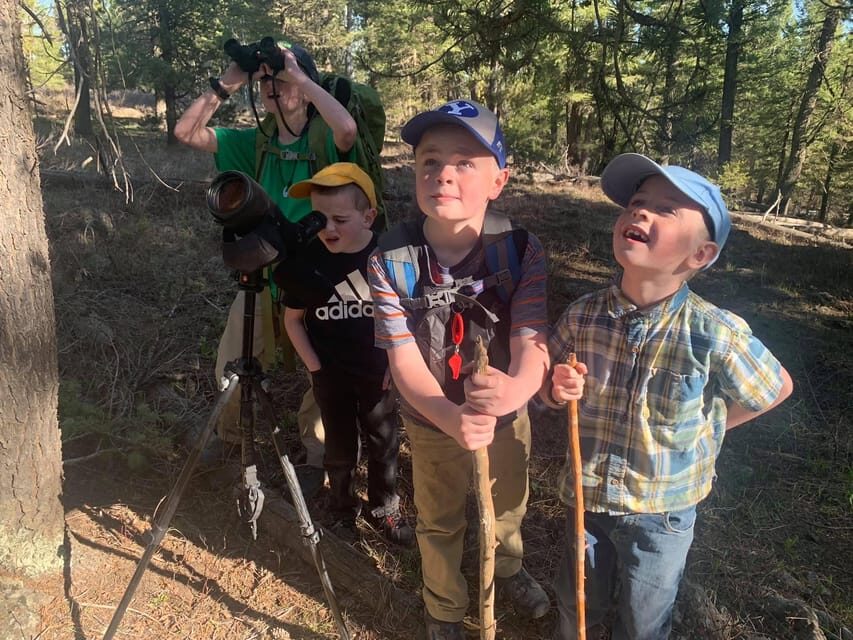 Yellowstone Old Faithful and Waterfall Tour - Itinerary and Key Stops