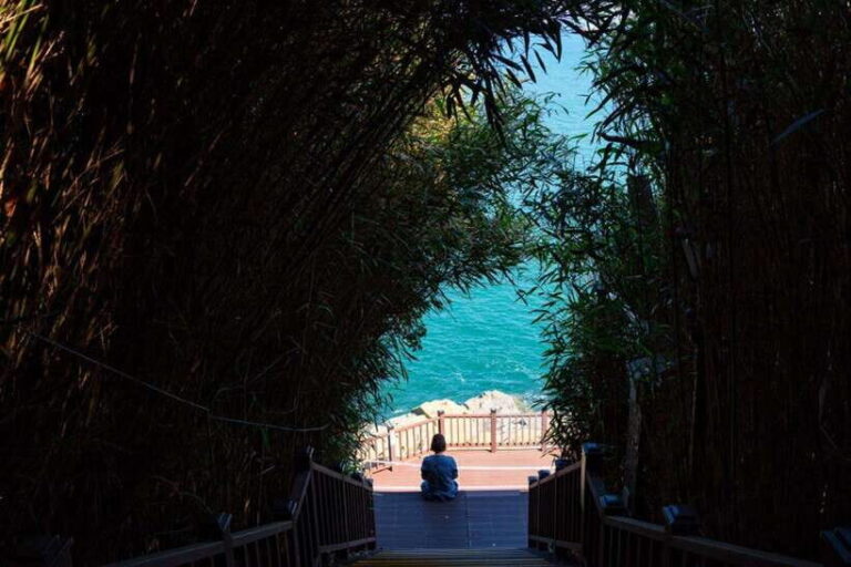 Yeosu: Private Taxi Car Private Charter Tour - Who Will Love This Tour?